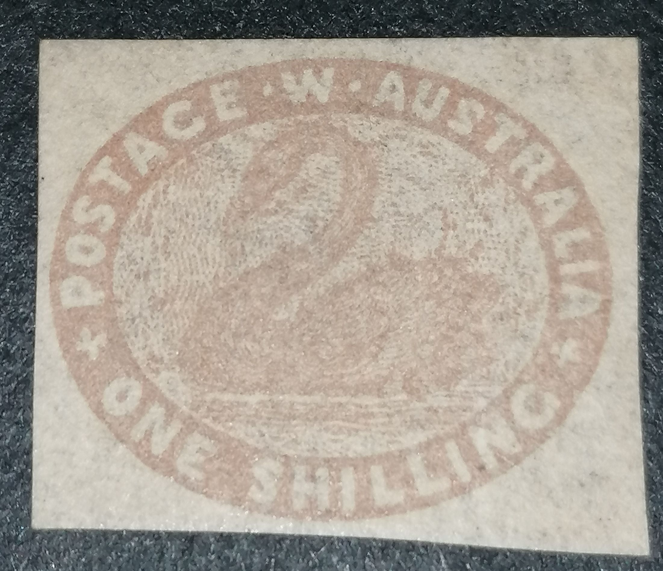 Western Australia 1 shilling 1854 MH cat. value 500 euros | Australia ...