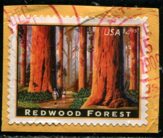 4378 US $4.95 Redwood Forest SA, used on paper | United States, General ...