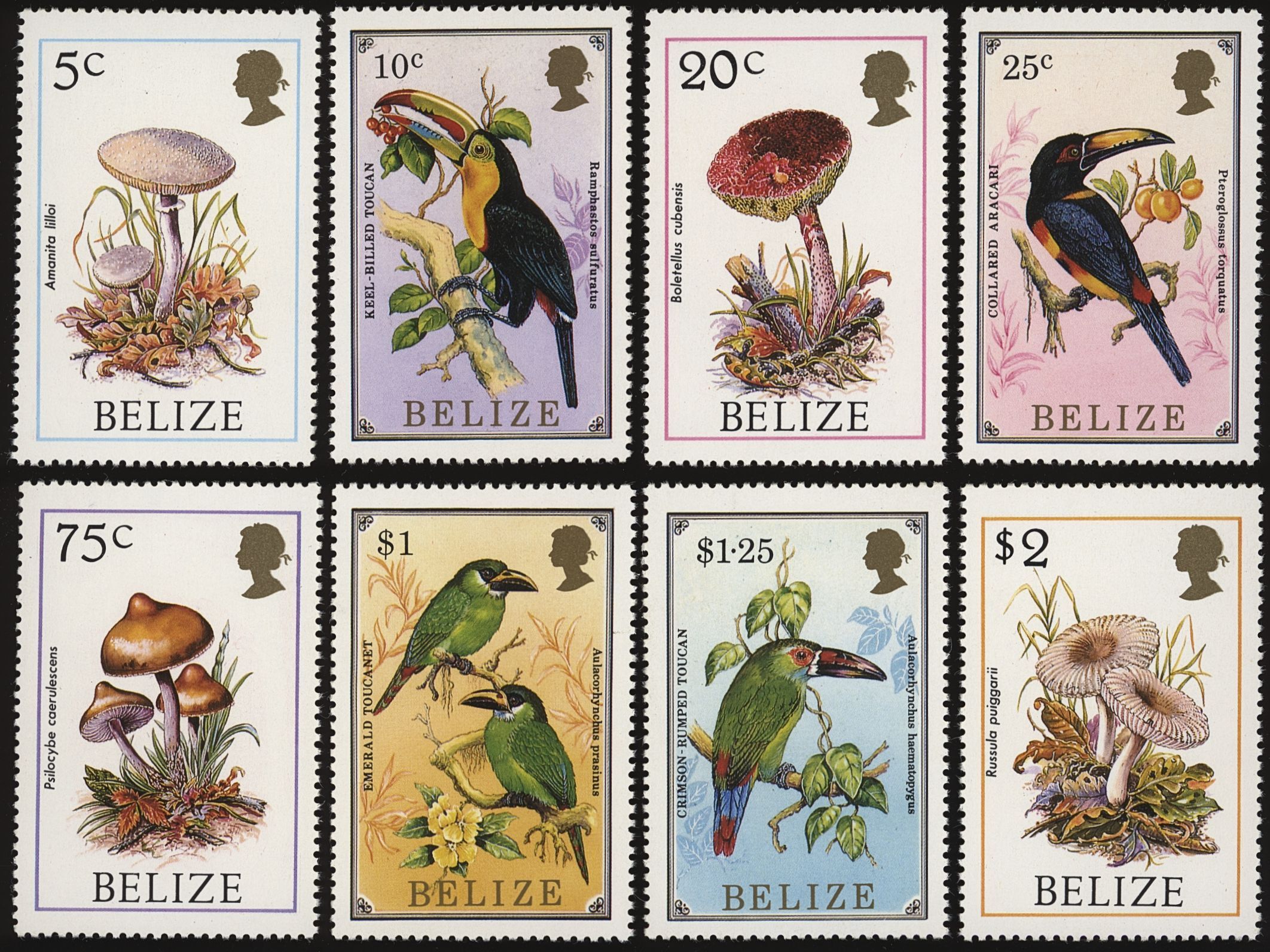 BELIZE Sc 843-50 VF/MNH -1986 Birds & Mushrooms Set Complete | Central ...