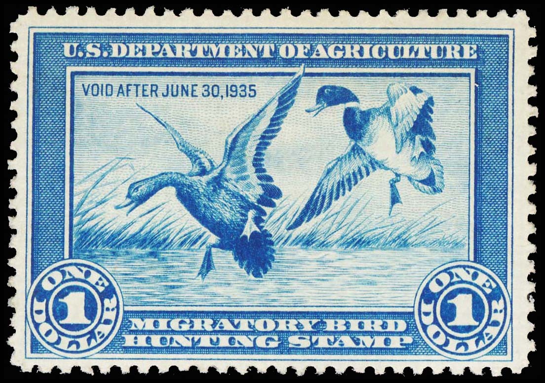 U.S. REV. Ducks RW1 Mint (ID # 107496) | United States, Duck Stamps ...