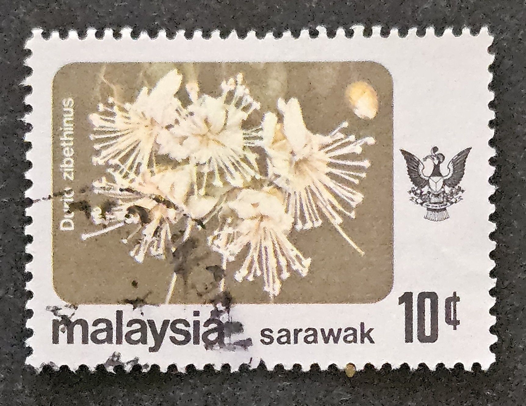 Sarawak 1979 SG236 10c. used flowers of Durio zibethinus (Durian ...