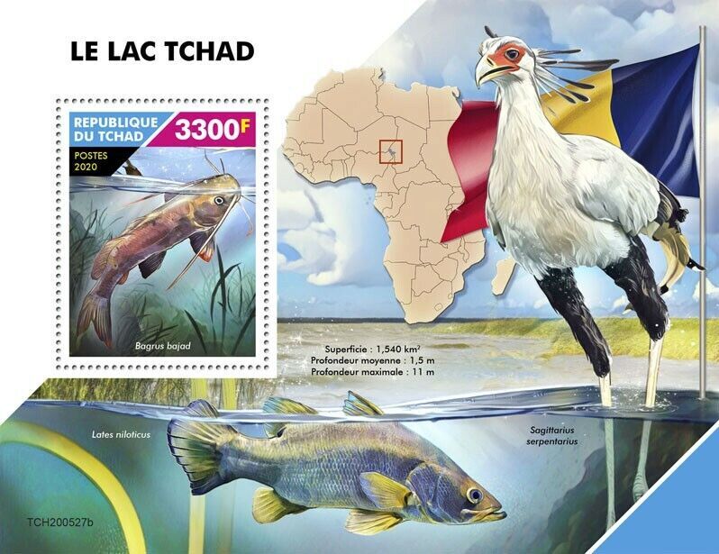 Chad Fish Stamps 2020 MNH Lake Chad Bayad Catfish Secretarybird Birds ...