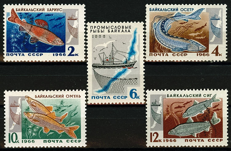 1966 USSR 3264-3268 Commercial fishes of Baikal. | Europe - Russia ...