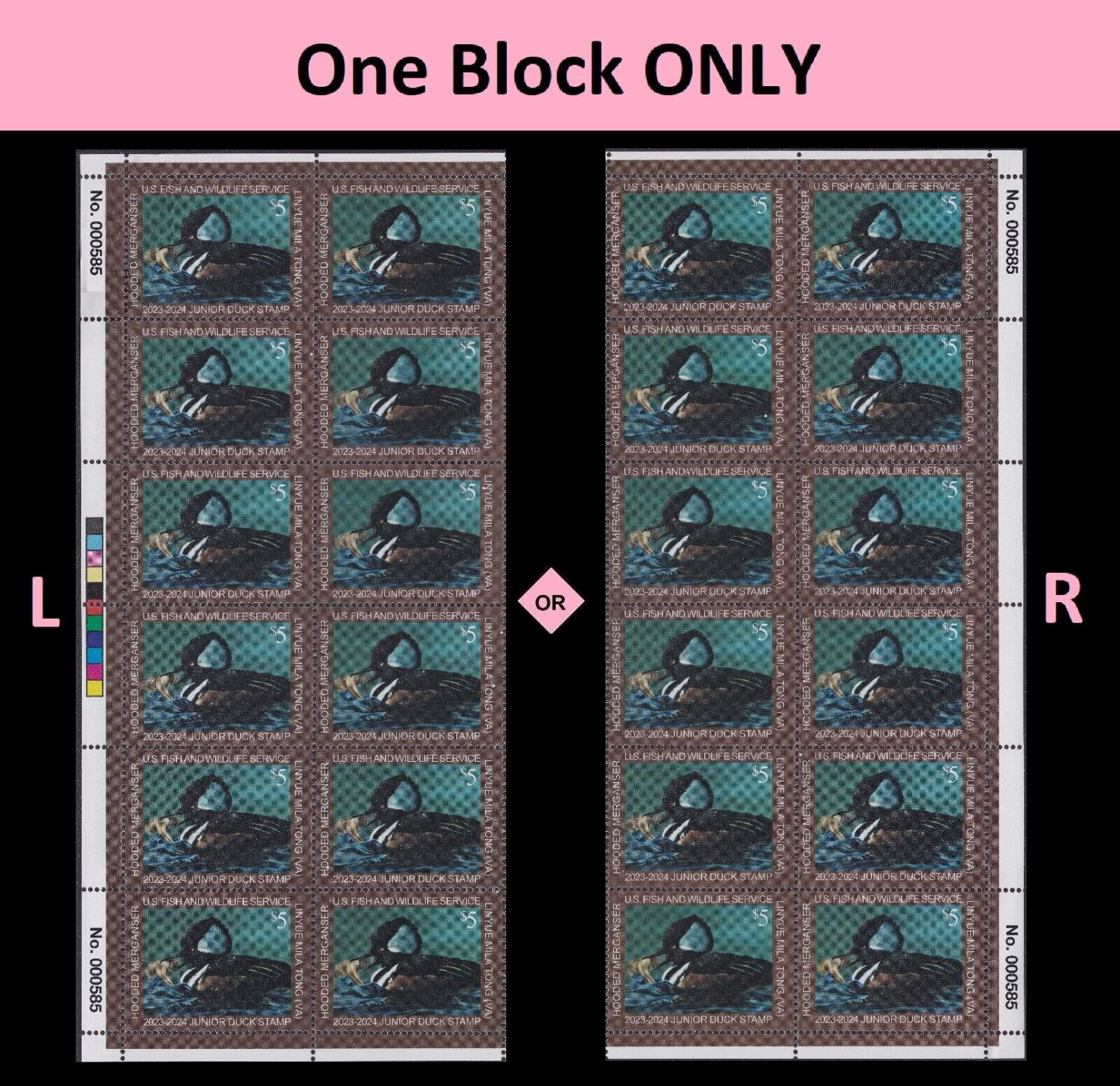 US JDS31 Junior Duck Hooded Merganser $5 plate block (12 stamps) MNH ...