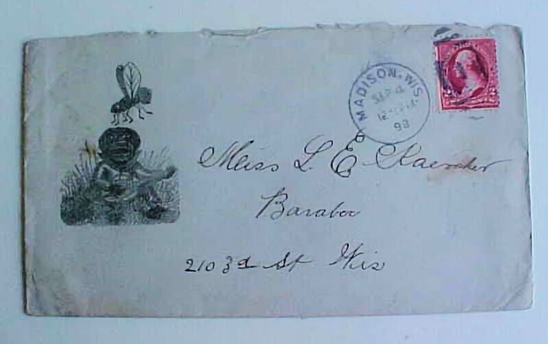 US Negro Banjo & FLY Pictorial AD 1899 Madison Wisconsin | United ...