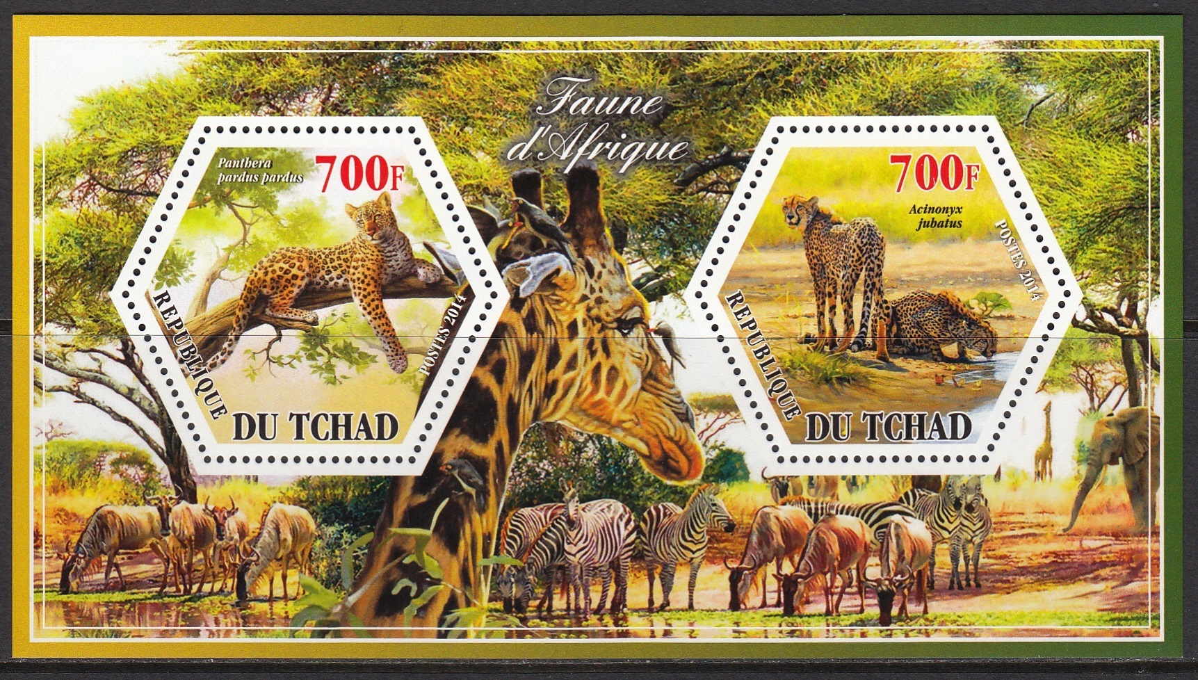 Tchad Chad 2014 Wild Animals Animaux Sauvages Wilde Tiere [#A267 ...