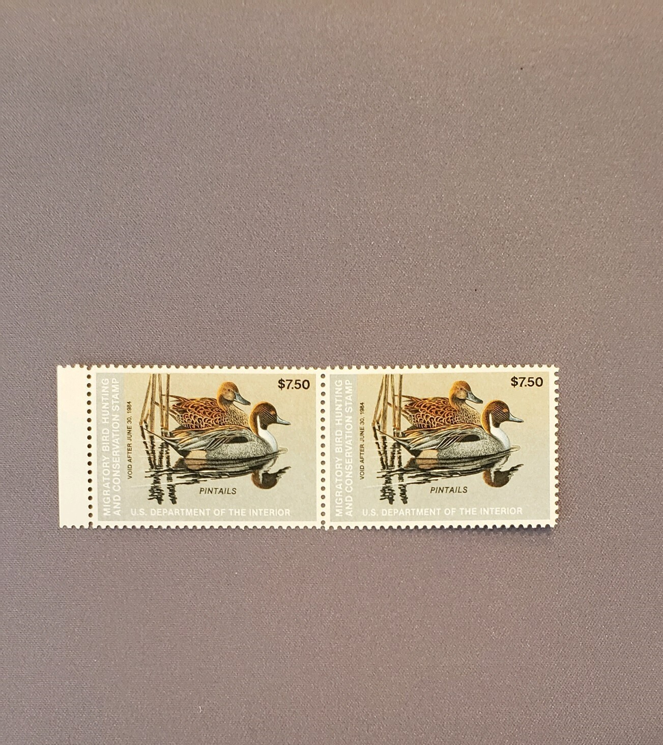 RW50, Pintail, Horizontal Pair, Mint OGNH, CV $40.00 | United States ...