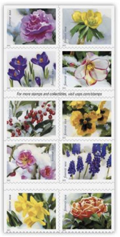 US Snowy Beauty Block of 10 Stamps. MNH. Pre-Order Ships 11 Oct 2022 ...