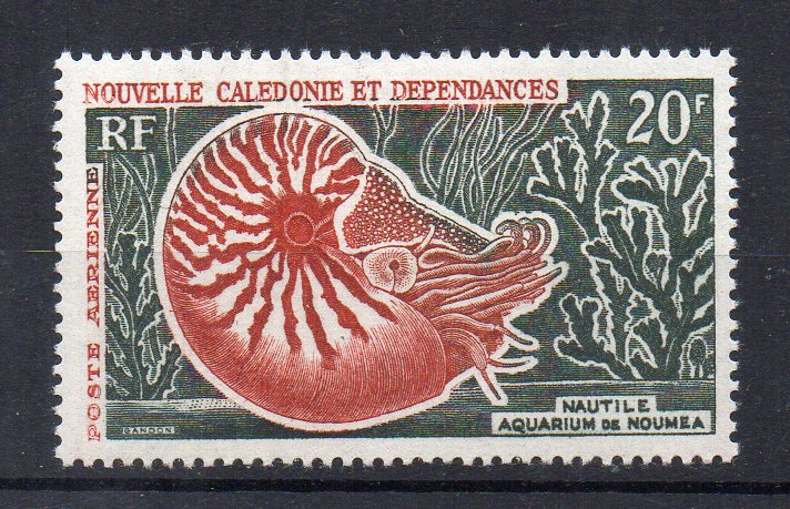 New-Caledonia - Airmail - Aquarium of Noumea - Shell Fish - 1955 ...