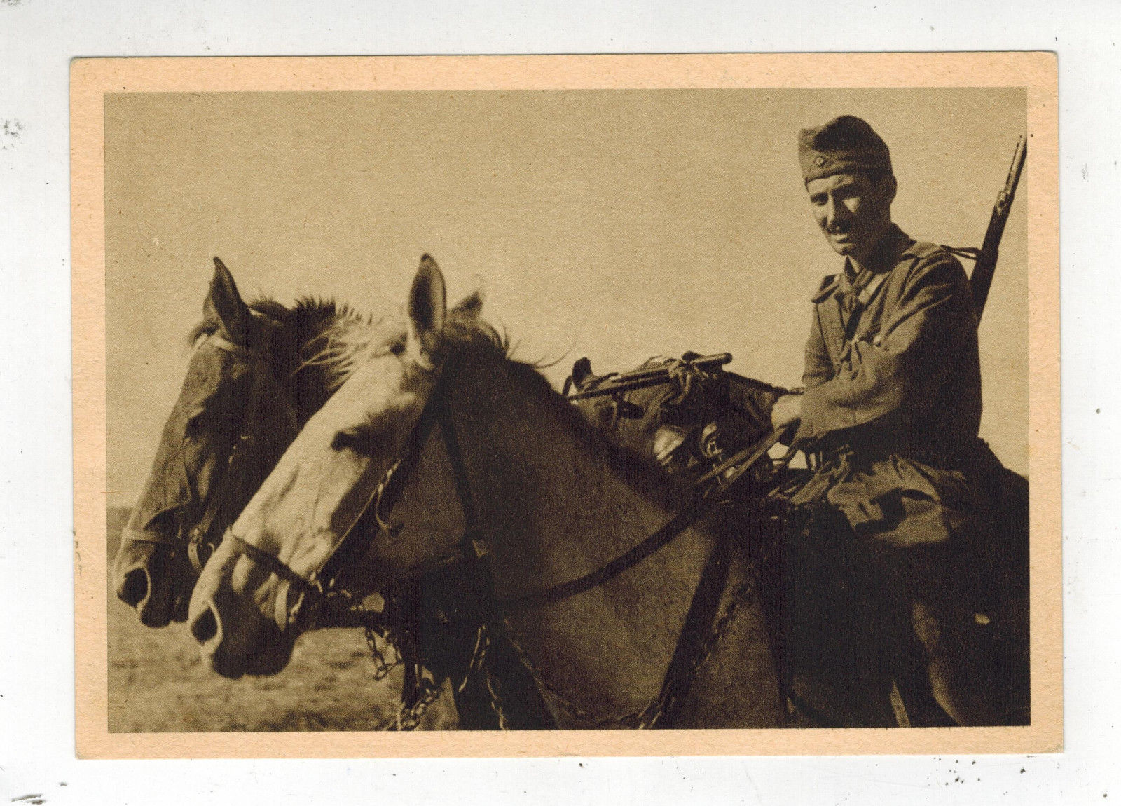 1942 WW2 Germany Spain Blue Division RPPC Postcard Soldier on Horseback ...