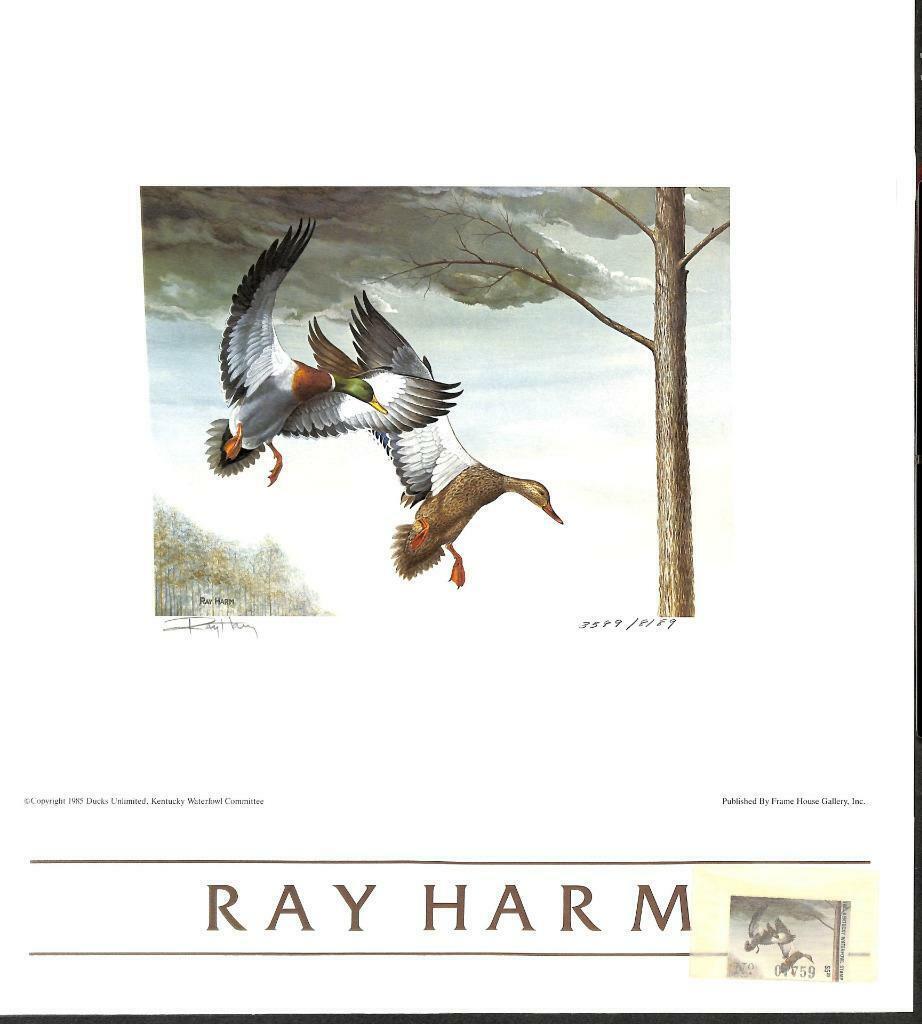 Kentucky #1 Duck Stamp & Print Waterfowl Mallards Artist Signed RAY ...