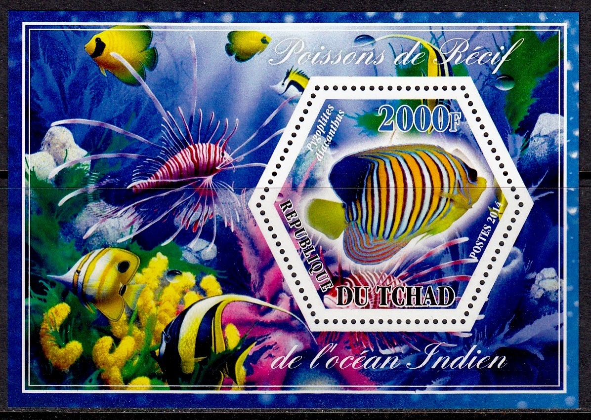 Tchad Chad 2014 Fish Poissons Fische Pesce Pescado [#A237] | Africa ...