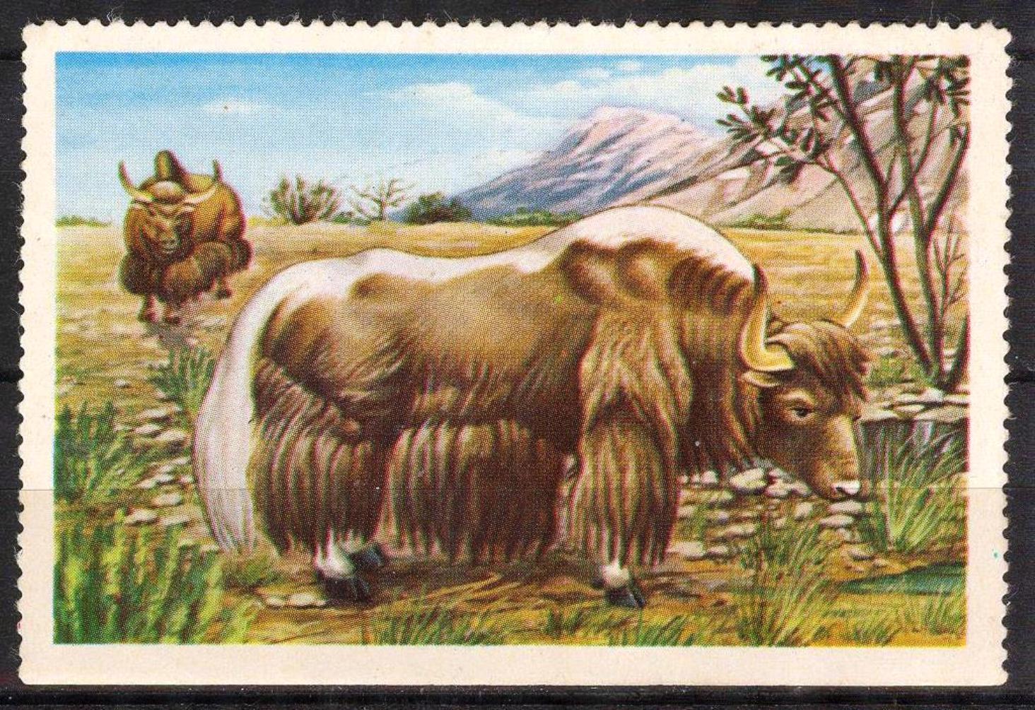 Hungary 1960's Woolly Yak Offset Press Poster Cinderella 2 scans ...