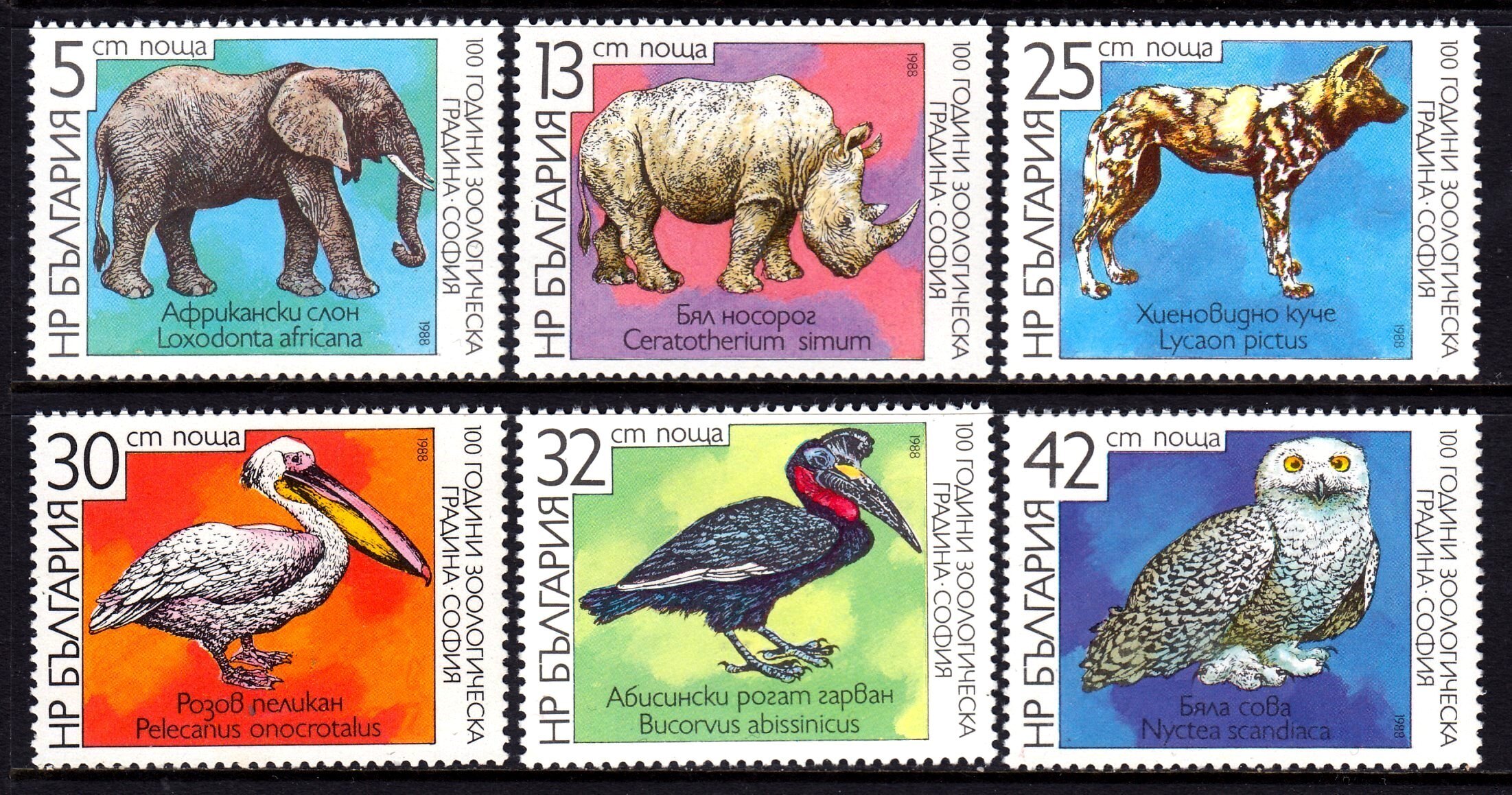 Bulgaria 1988 Sofia Zoo - Wildlife Complete Mint MNH Set SC 3329-3334 ...