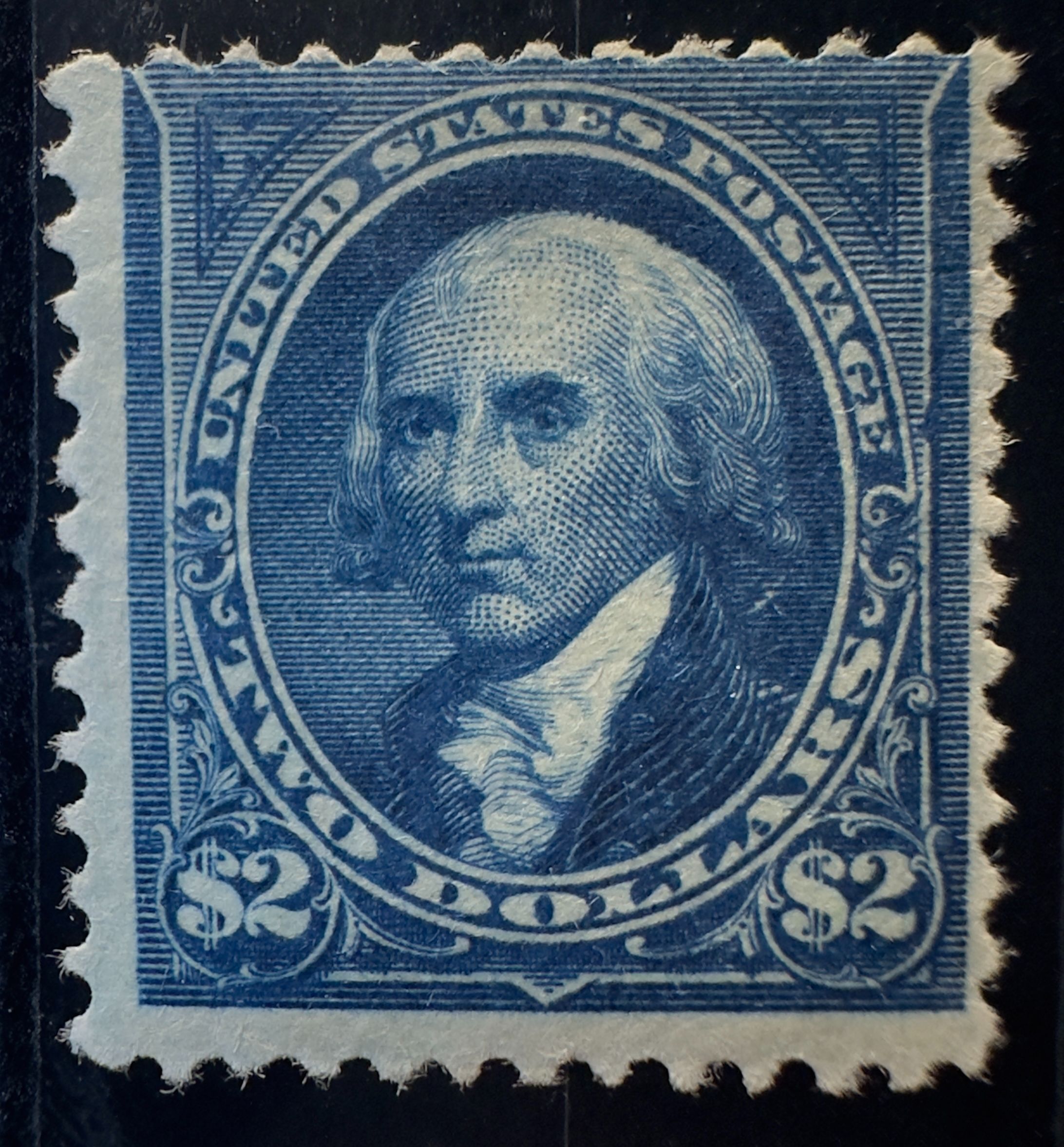 US Scott #262 bright blue MINT OG Hinge 1894 | United States, General ...