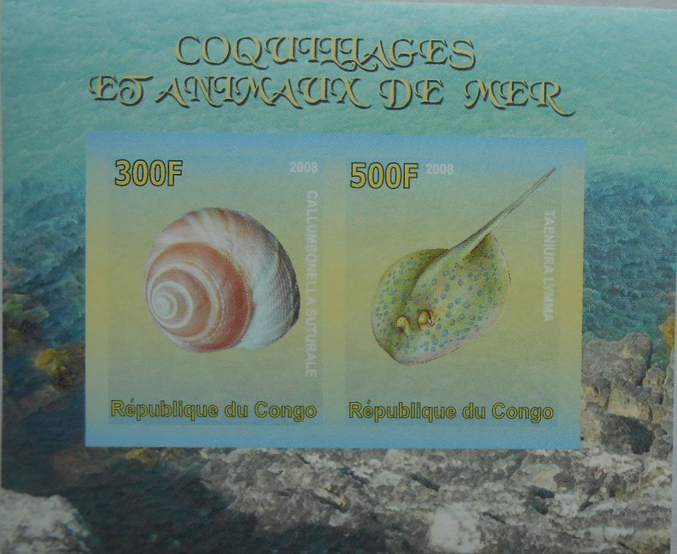 Congo 2008 Marine Sealife Animal Shell Sea Fish Nature M/S Stamps MNH ...