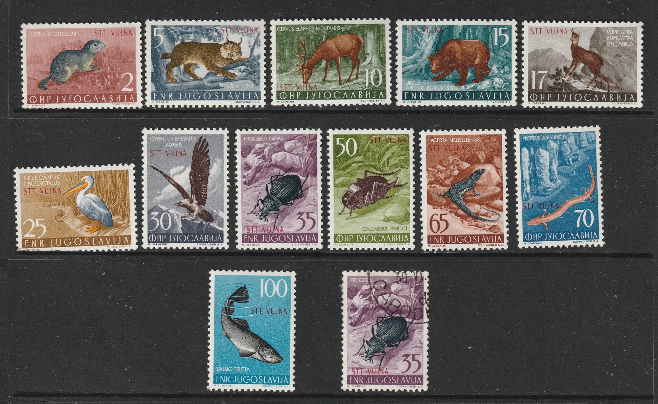 Trieste Zone B the 1954 Fauna set MNH + 1 used | Europe - Yugoslavia ...