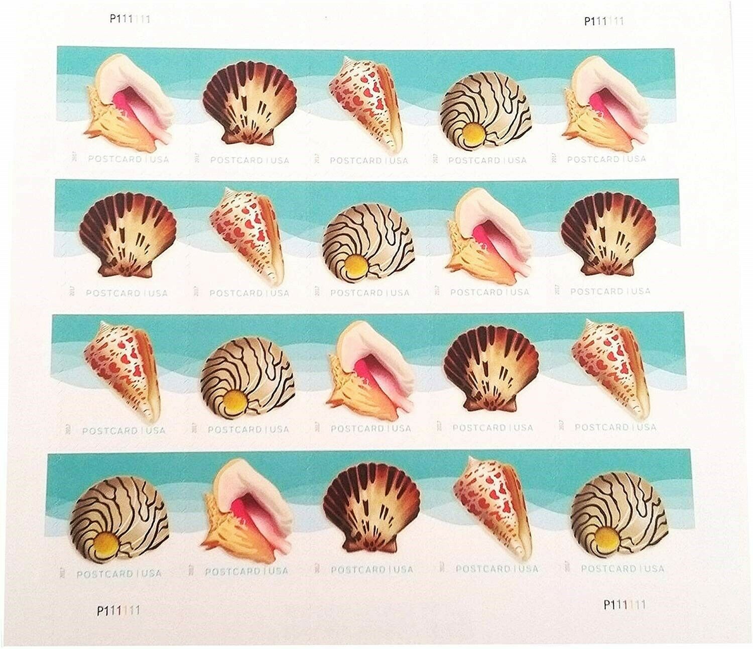 Seashells Pane of Twenty Post Card Forever Postage Stamps Scott 5166a ...