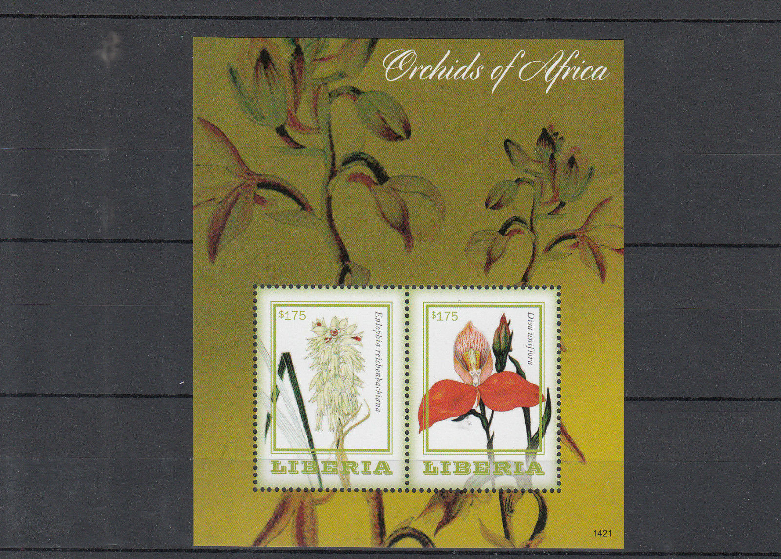 Liberia 2014 MNH Orchids of Africa 2v S/S II Flowers Flora / HipStamp