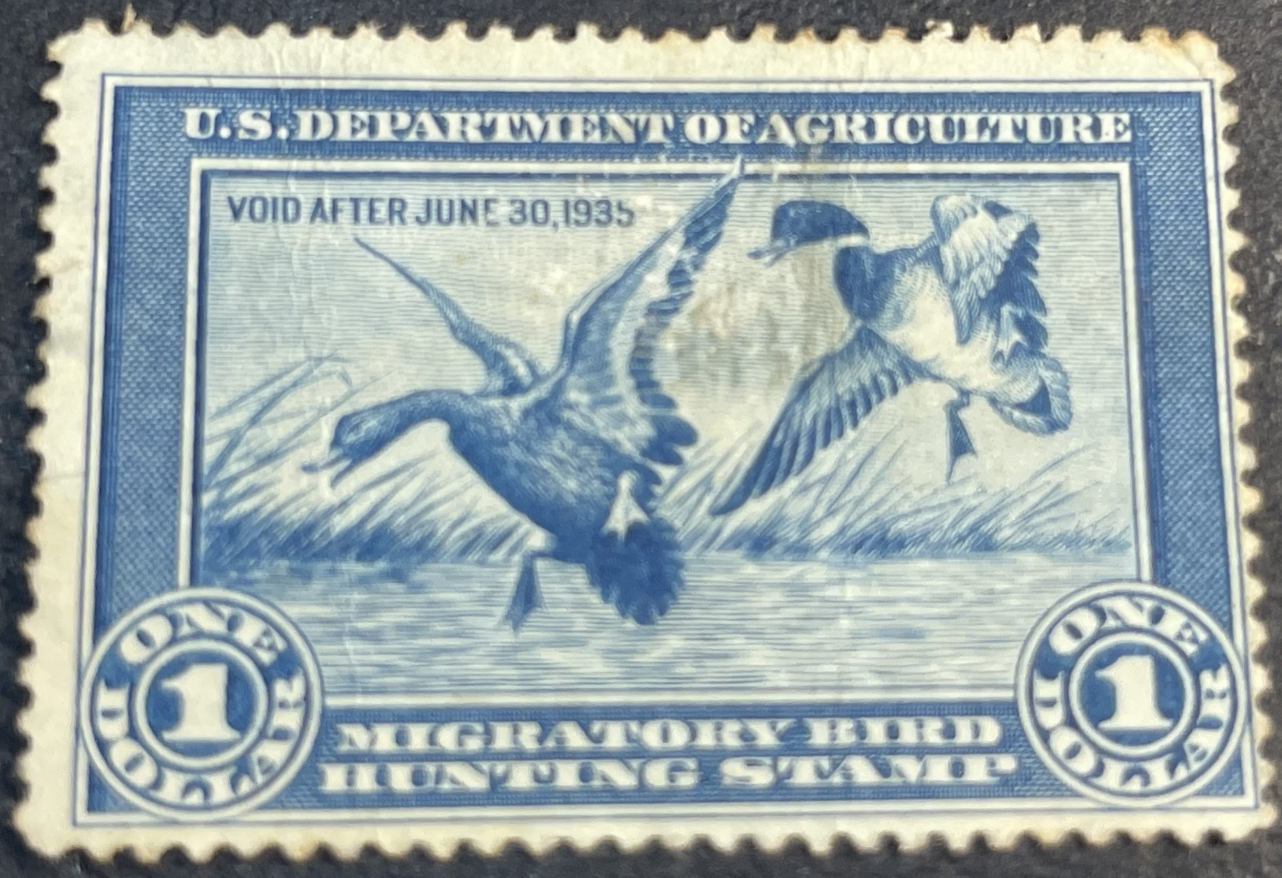 U.S.# Rw1-Mint/NO Gum*---Federal Duck Stamp--Single--1934(Lotp1 ...