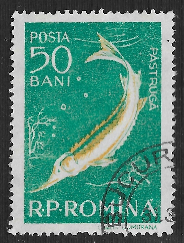 Romania #1197 50b Animals - Fish - Sturgeon | Europe - Romania, General ...