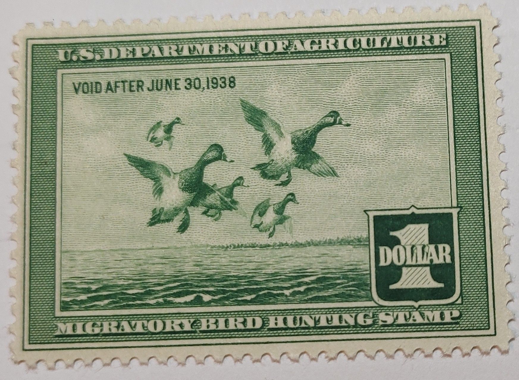 Scott Stamp# RW 4 - 1937 $1 Federal Duck Stamp. MNH. Original Gum. SCV ...