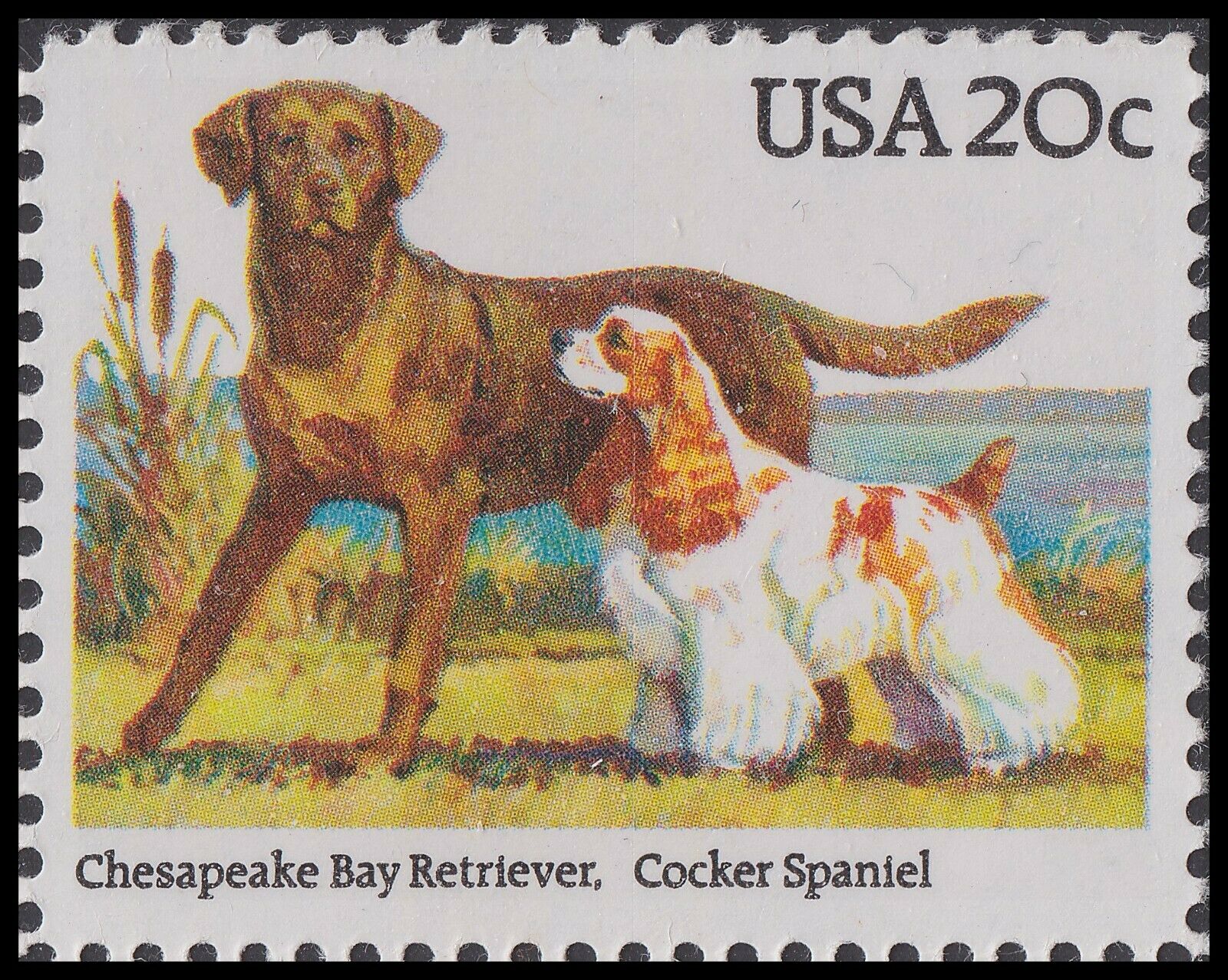 US 2099 Dogs Chesapeake Bay Retriever, Cocker Spaniel 20c single MNH ...