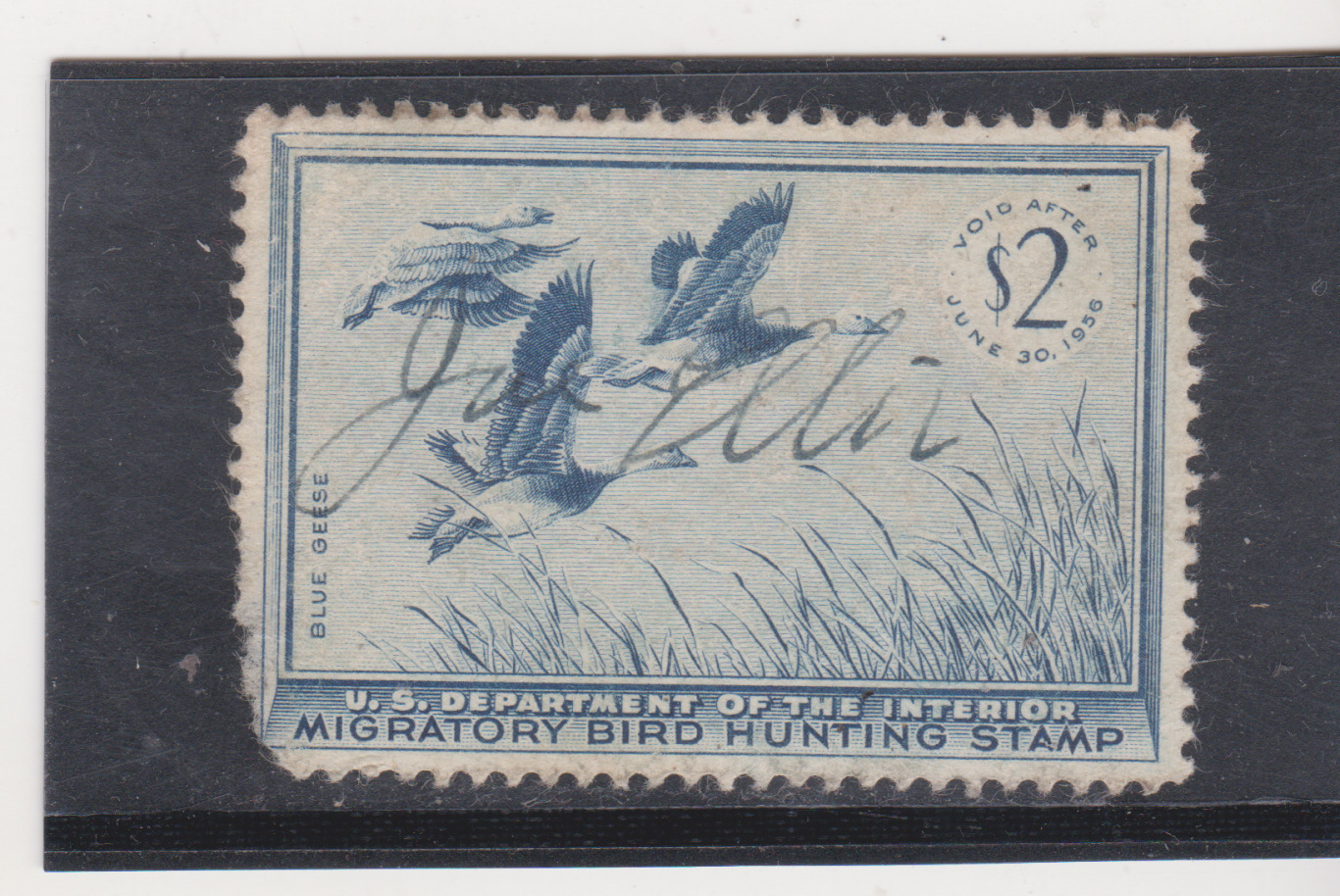 Scott # RW22 Used with a Corner Flaw 1955 $2 Hunting Permit Stamp, Cat ...