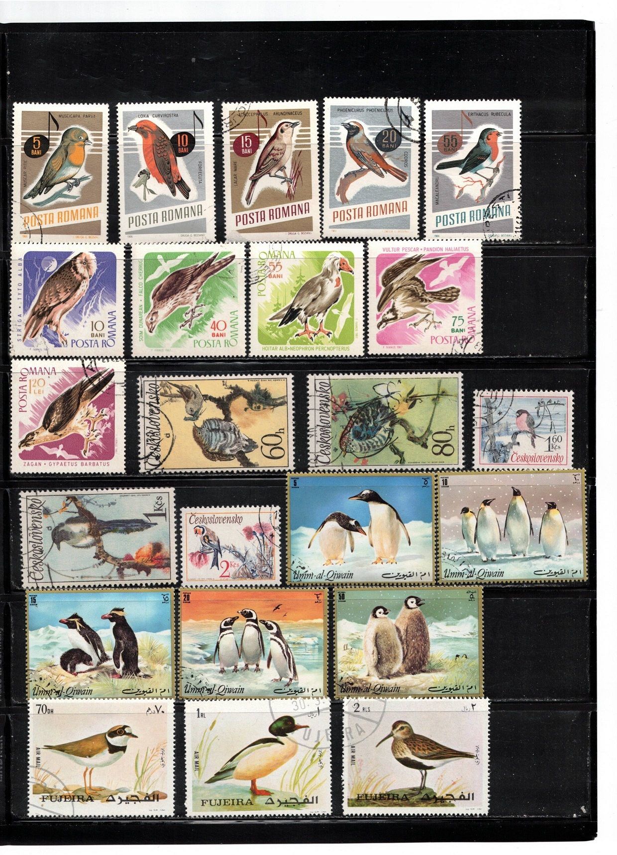 BIRDS ON STAMPS - Lot Of 116 Different Used Bird Stamps - Nice Mixture ...