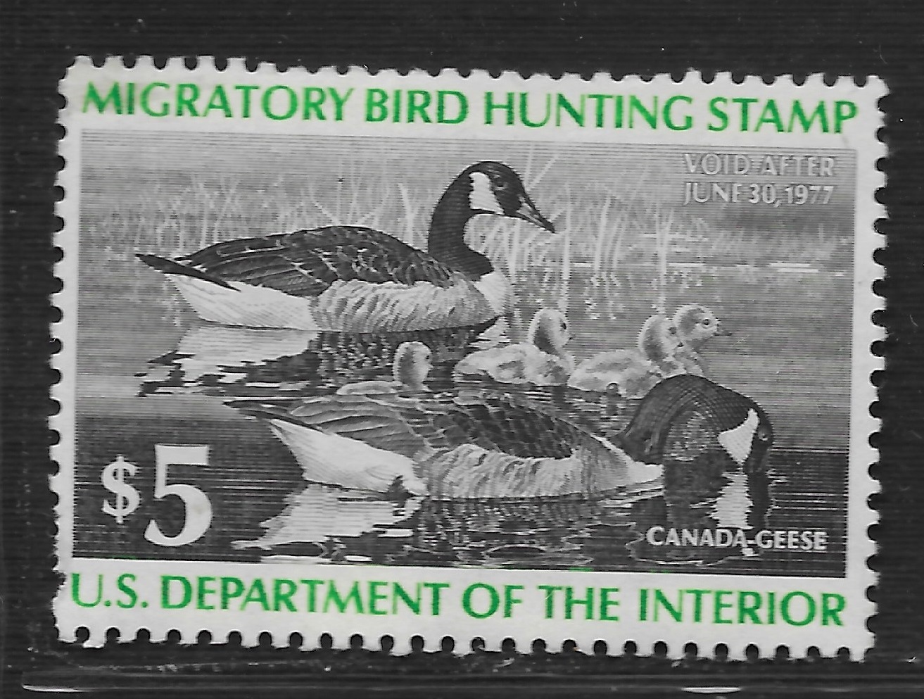 US #RW43 $5 Duck Stamp - Family of Canada Geese | United States, Duck ...