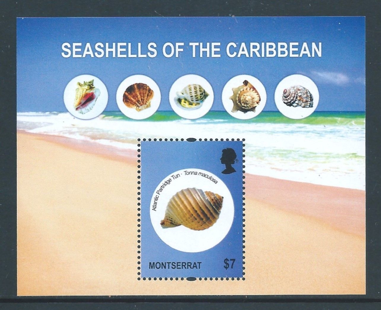 Montserrat #1261 NH Sea Shells SS | Caribbean - Montserrat, General ...