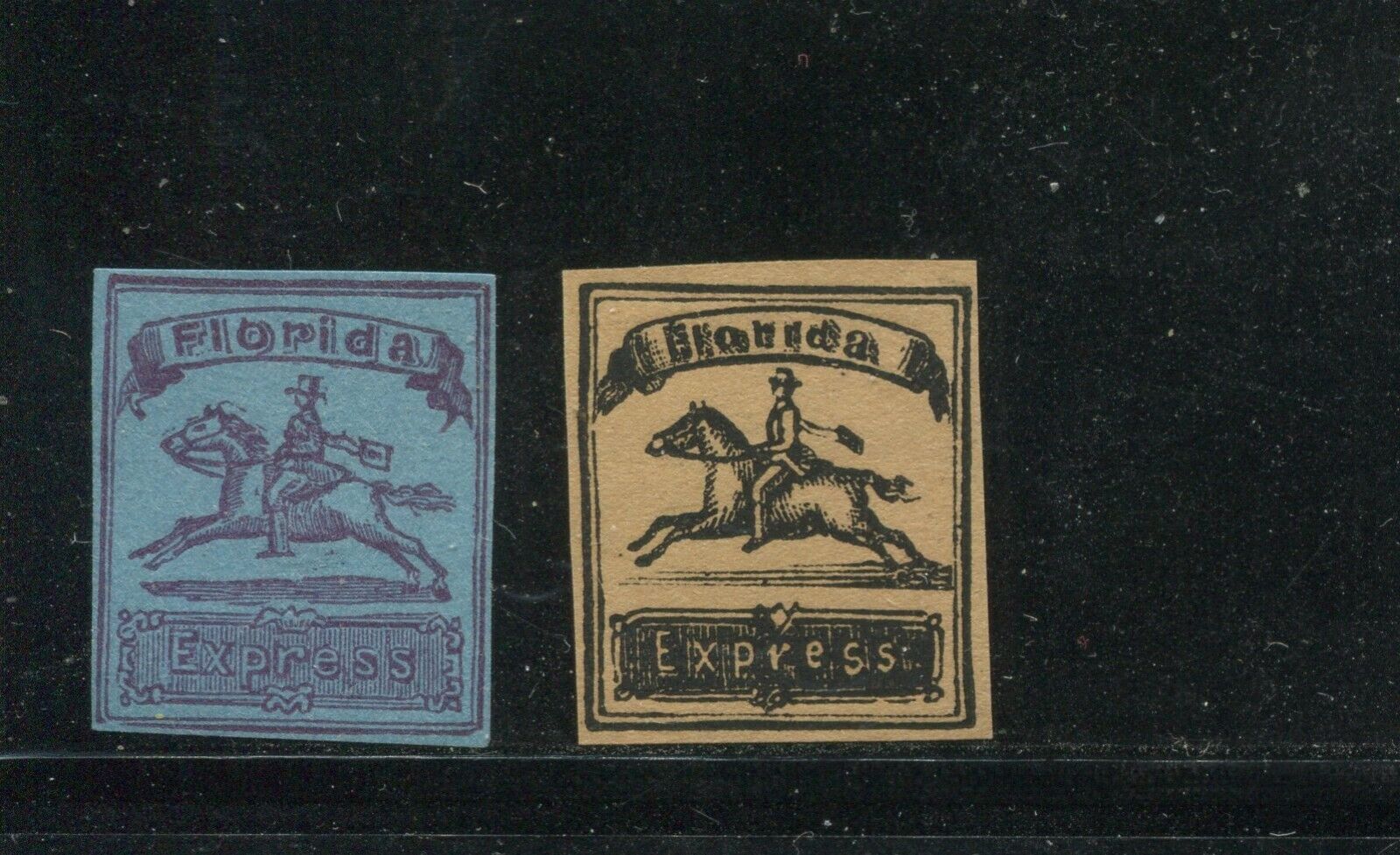 Florida Express Bogus Local Stamp Reference Lot Bx4557 | United States ...