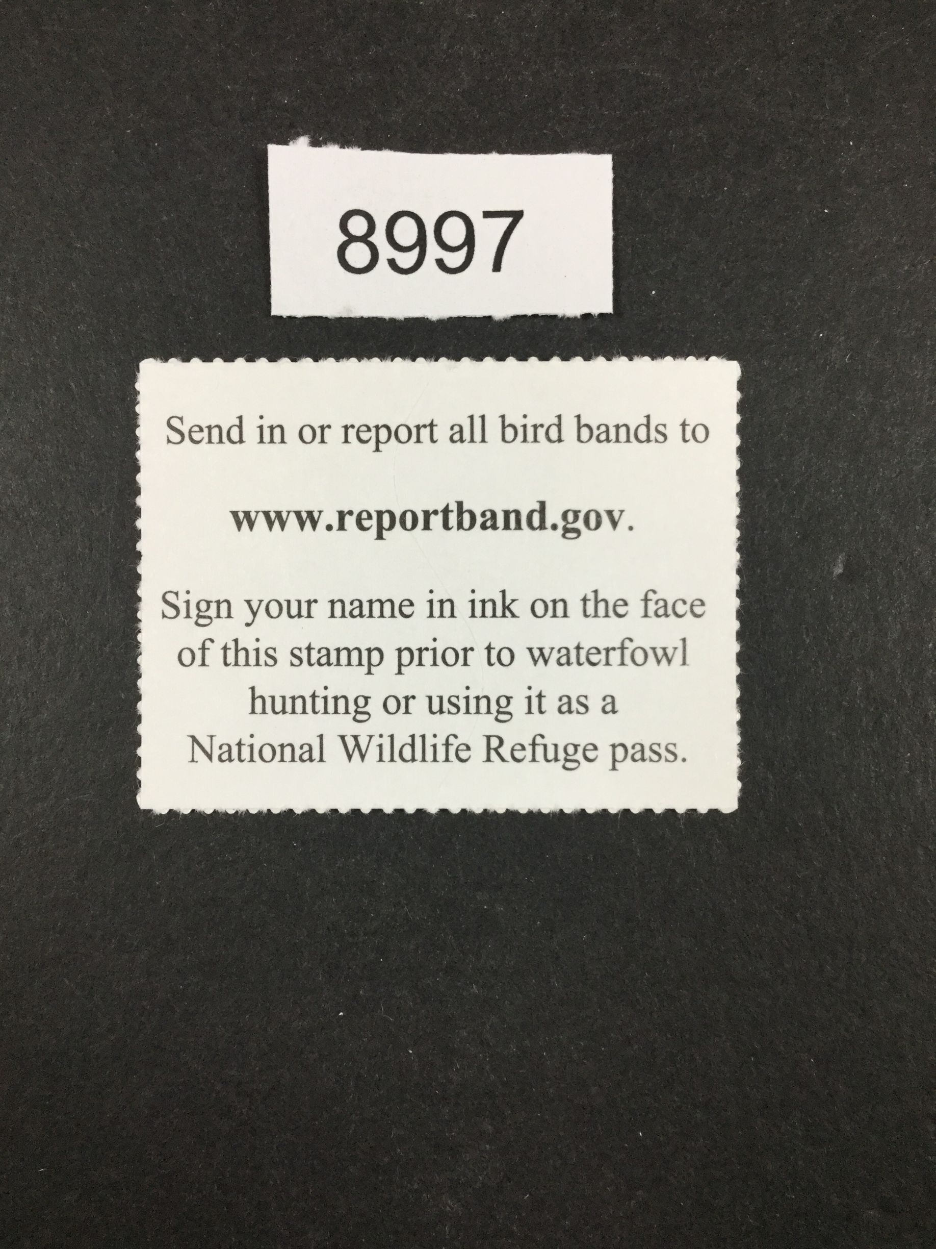 US Stamps # Rw87 Duck Mint OG NH LOT #C 8997 | United States, Duck ...