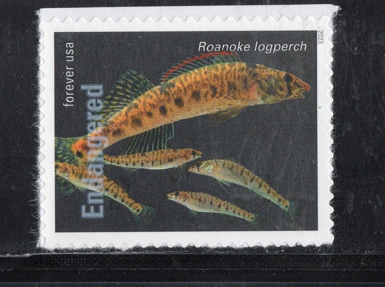 5800c * Roanoke Logperch * Endangered Species * U.S. Postage Stamp MNH ...