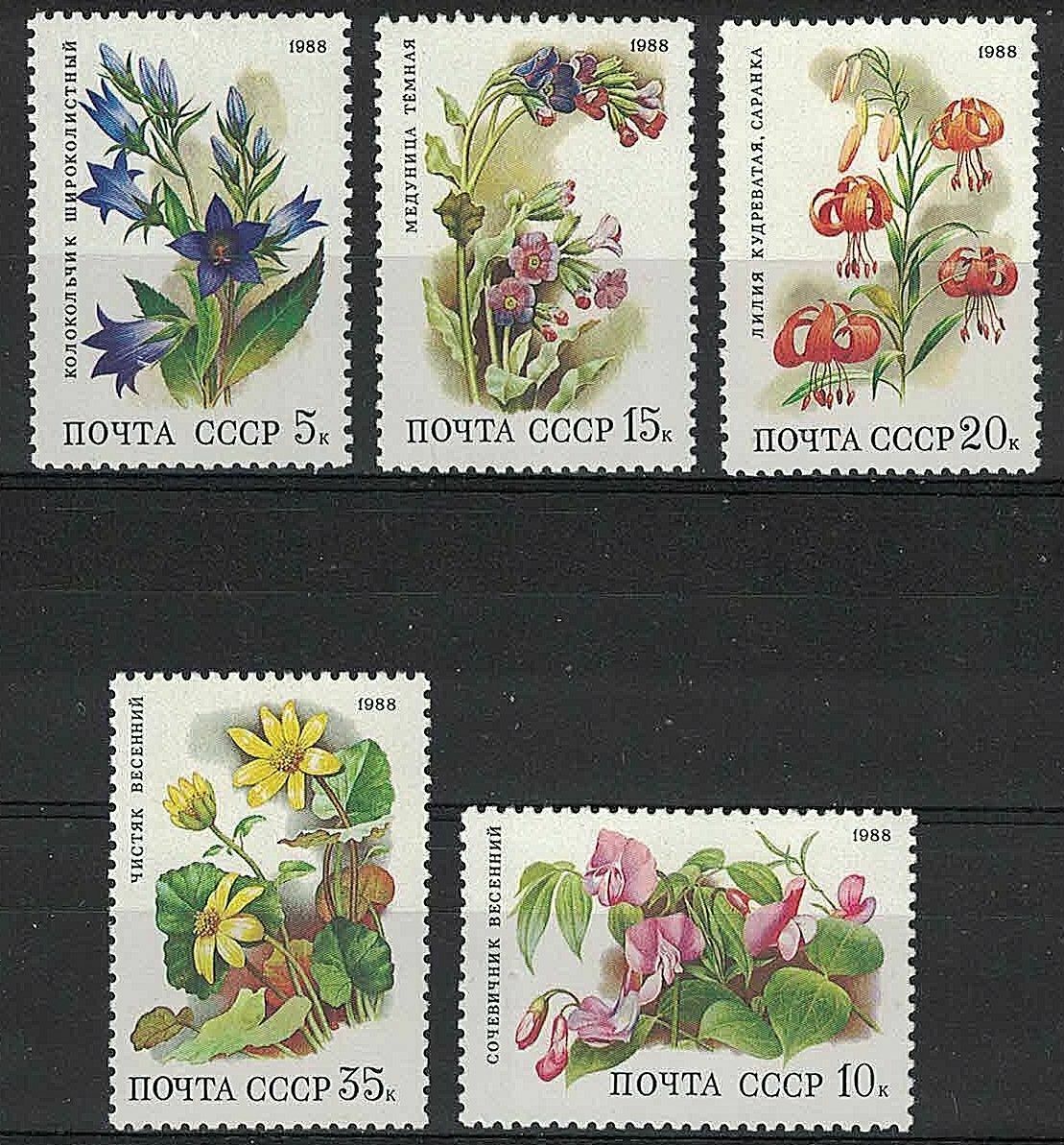 USSR Russia 1988 Deciduous Forest Flower Nature Plant Flora Stamp MNH ...