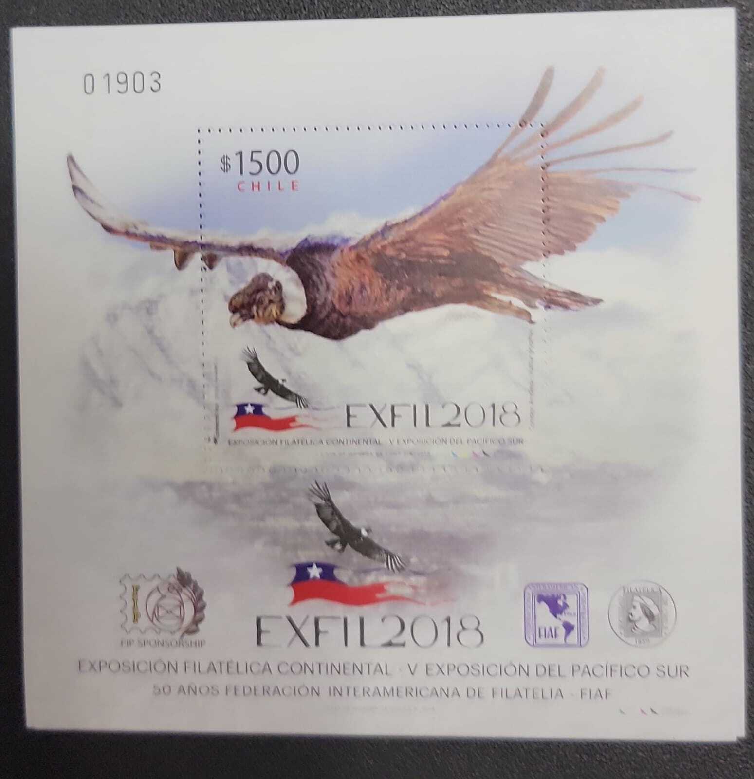 O) 2018 Chile, Bird of Prey - Andean Condor-Vulturgryphus-Exfil 2018 ...