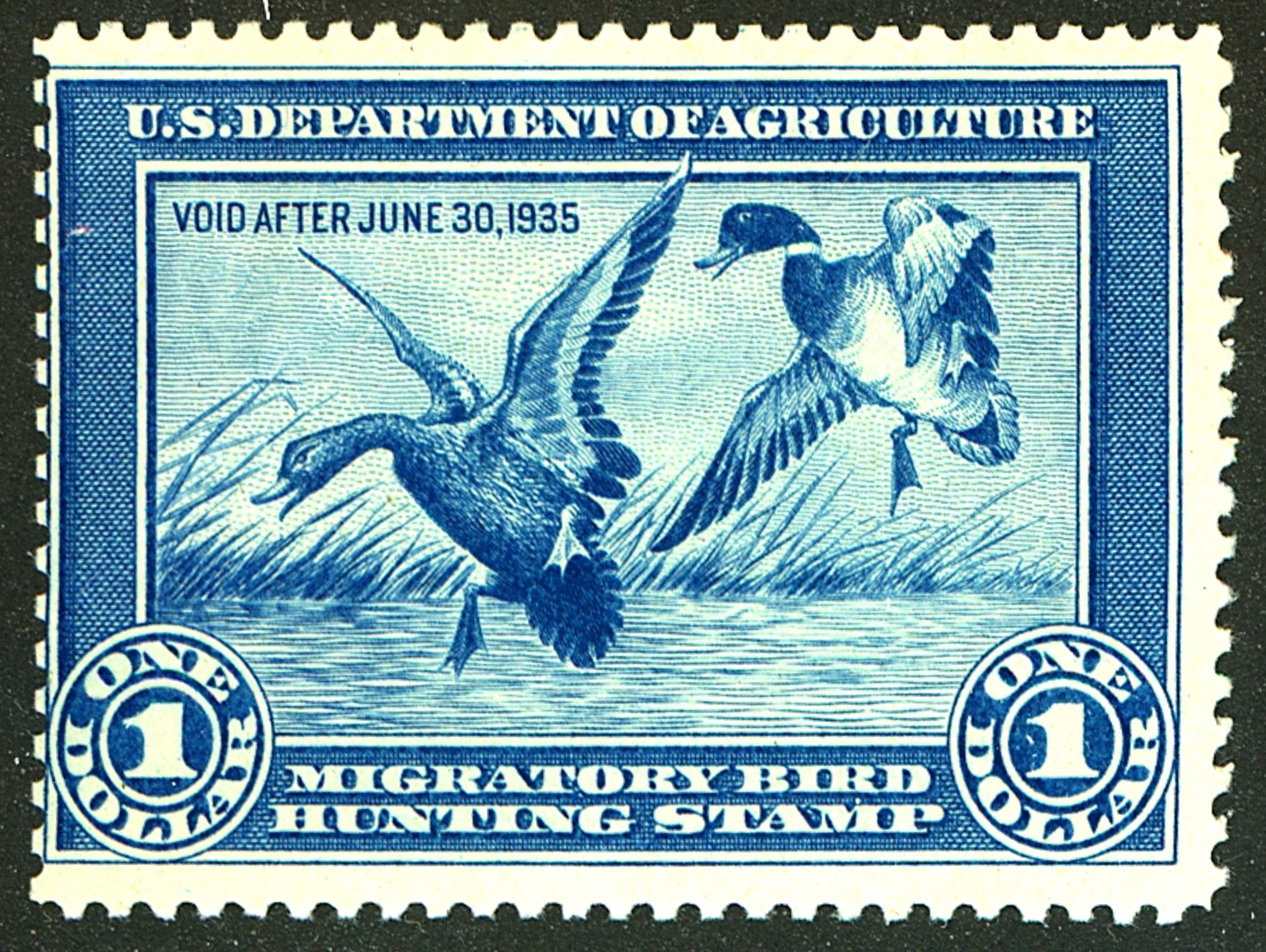 U.S. #Rw1 Mint OG NH | United States, Duck Stamps - Federal Stamp ...