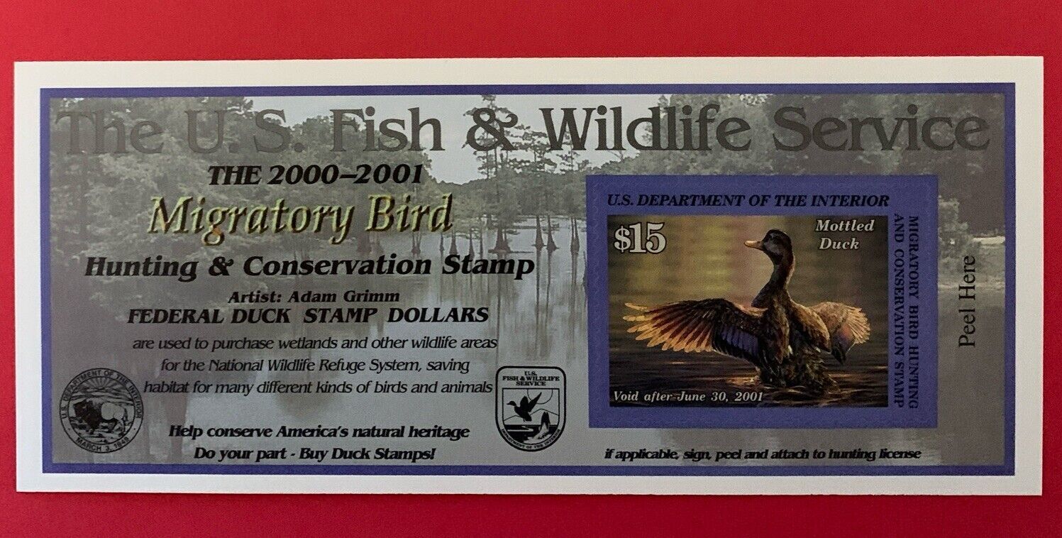 RW67a MOTTLED DUCK $15 US Federal Duck Stamp MNH 2000-2001 | United ...