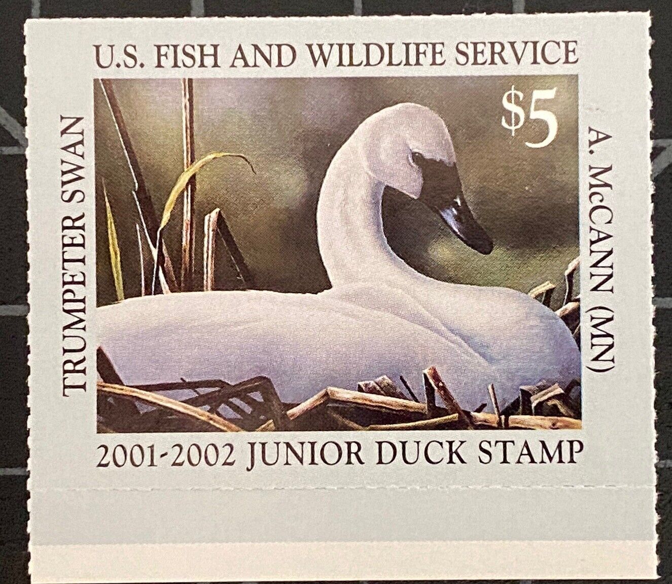 US Stamps-SC#jDS9 - 2001 Junior Duck Stamp - NGAI - CV $45.00 | United ...