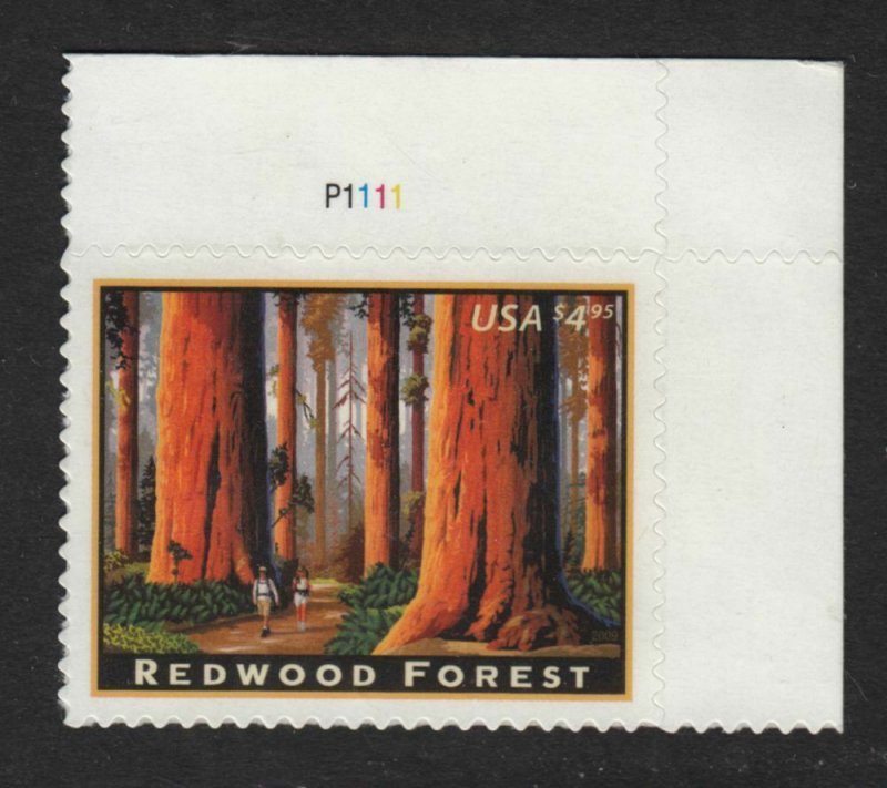 2009 Redwood Forests $4.90 denomination Sc 4378 MNH plate numbr P1111 ...