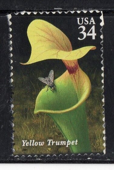 3529 * Yellow Trumpet * Carnivorous Plants * U.S. Postage Stamp MNH ...