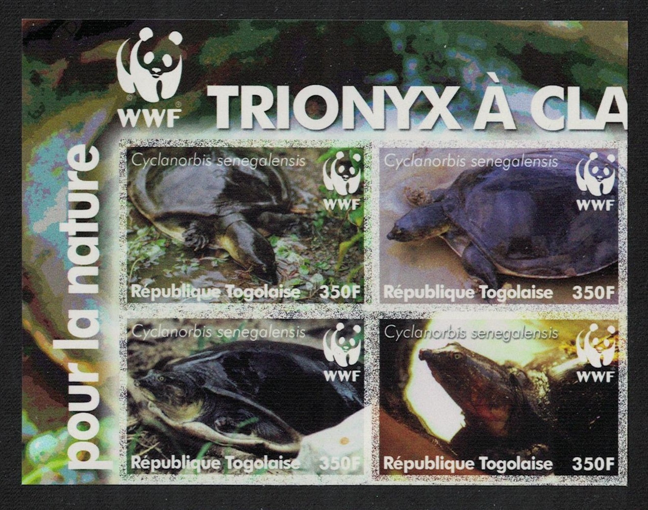 Togo WWF Senegal Flapshell Turtle 4v in block 2*2 IMPERF WWF Logo 2006 ...