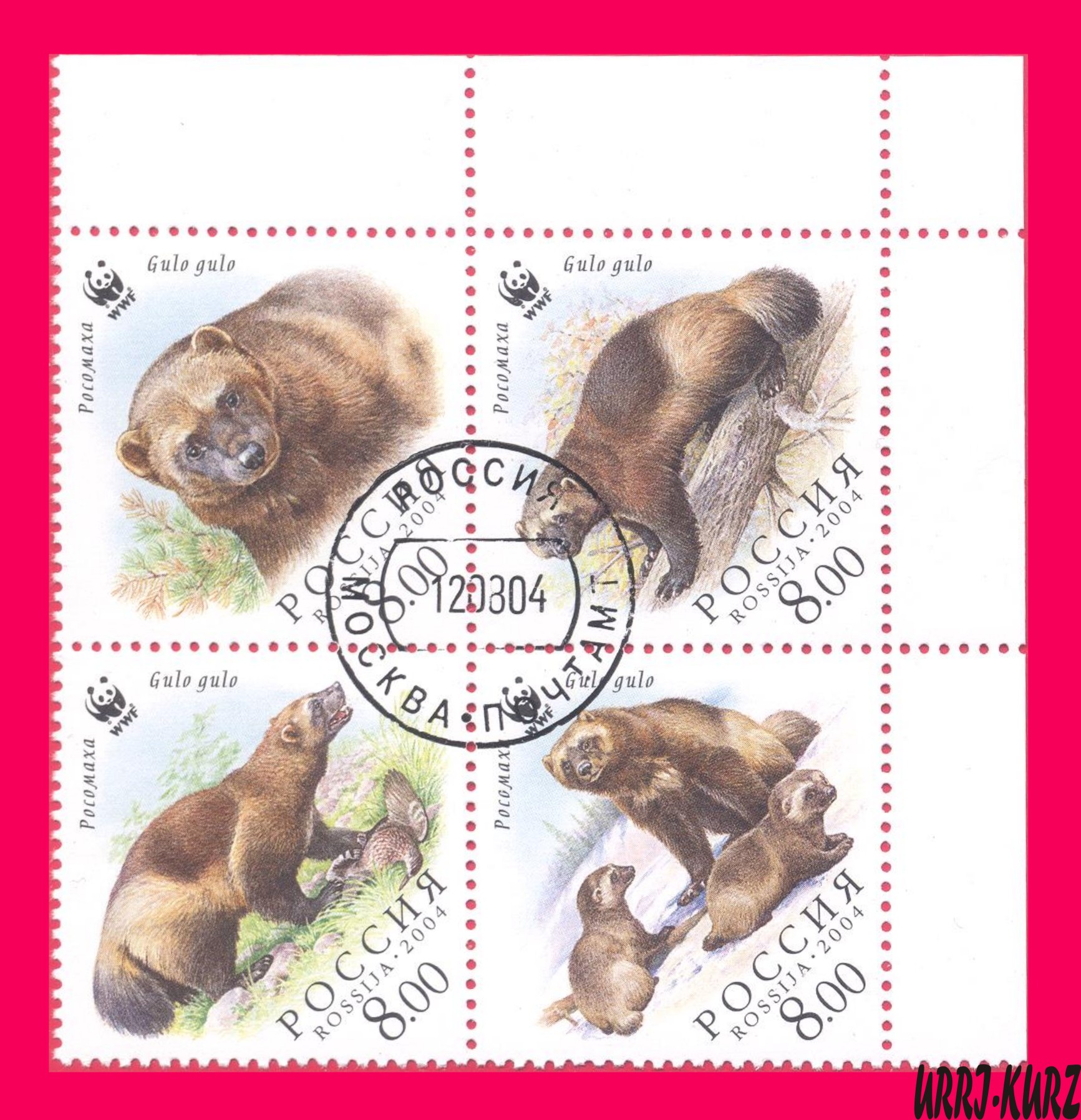 RUSSIA 2004 Nature Fauna Animals Wolverine WWF block of 4v Sc6857 ...