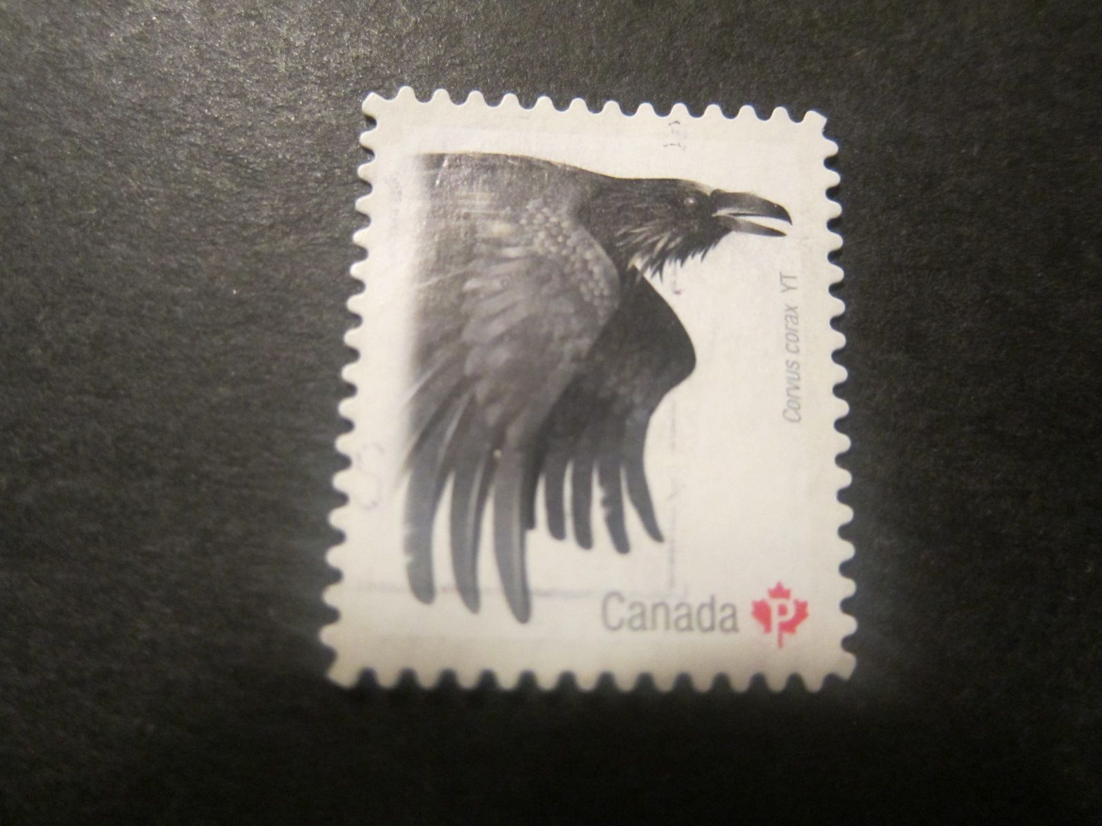Canada #2933 Birds of Canada nice stamps {ca2229} | Canada, General ...