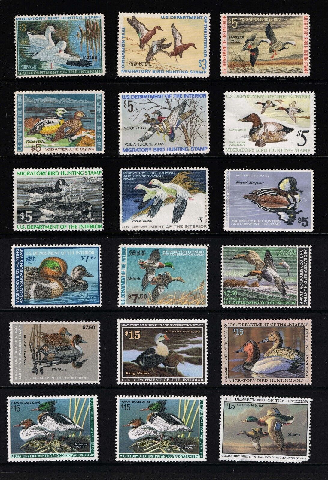 Very Affordable Group of 60 Mint Genuine Federal Duck Stamps a FEW of ...