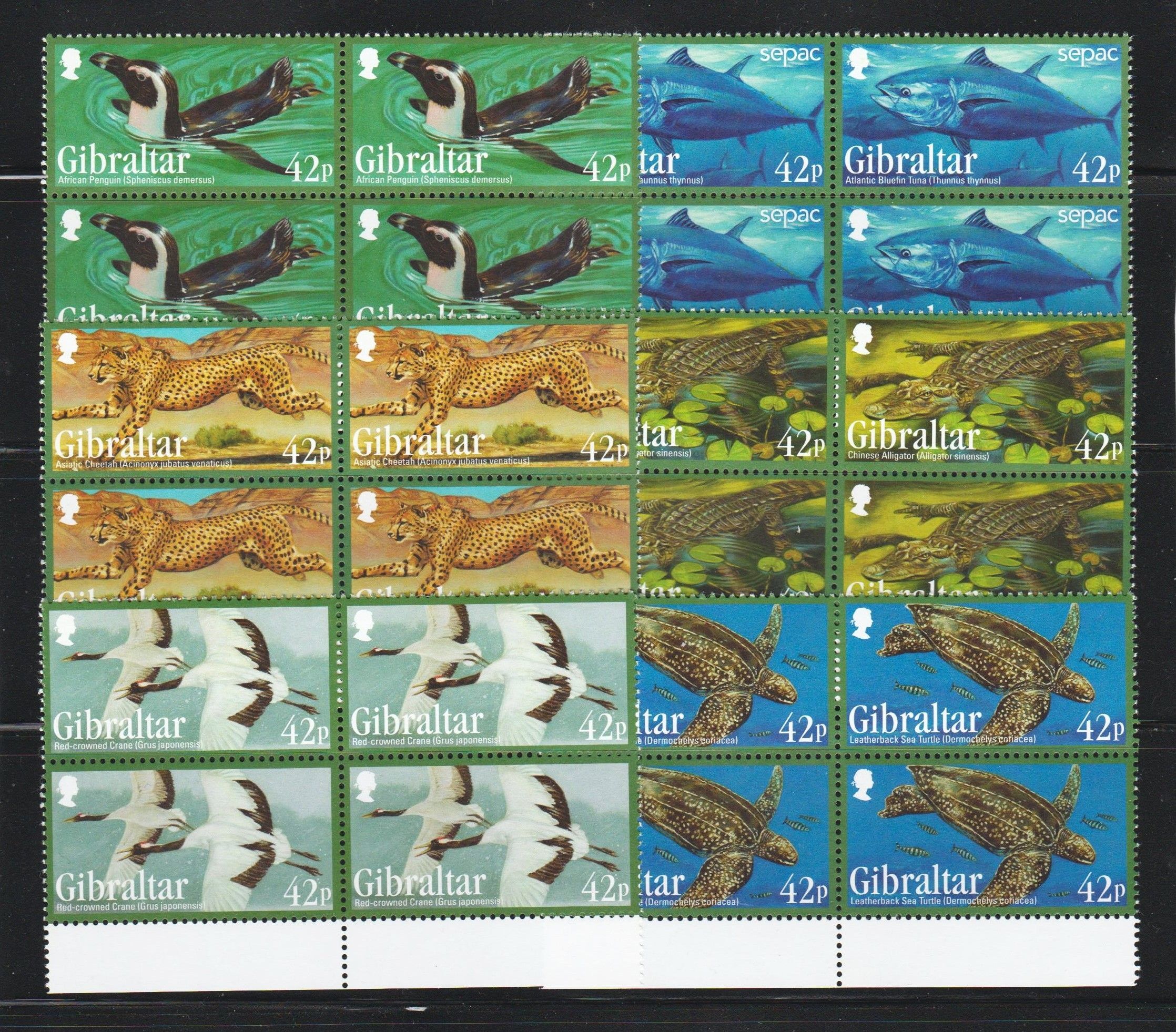 Gibraltar 2013 Endangered Animals (6v Cpt, B/4) XF MNH | Europe ...