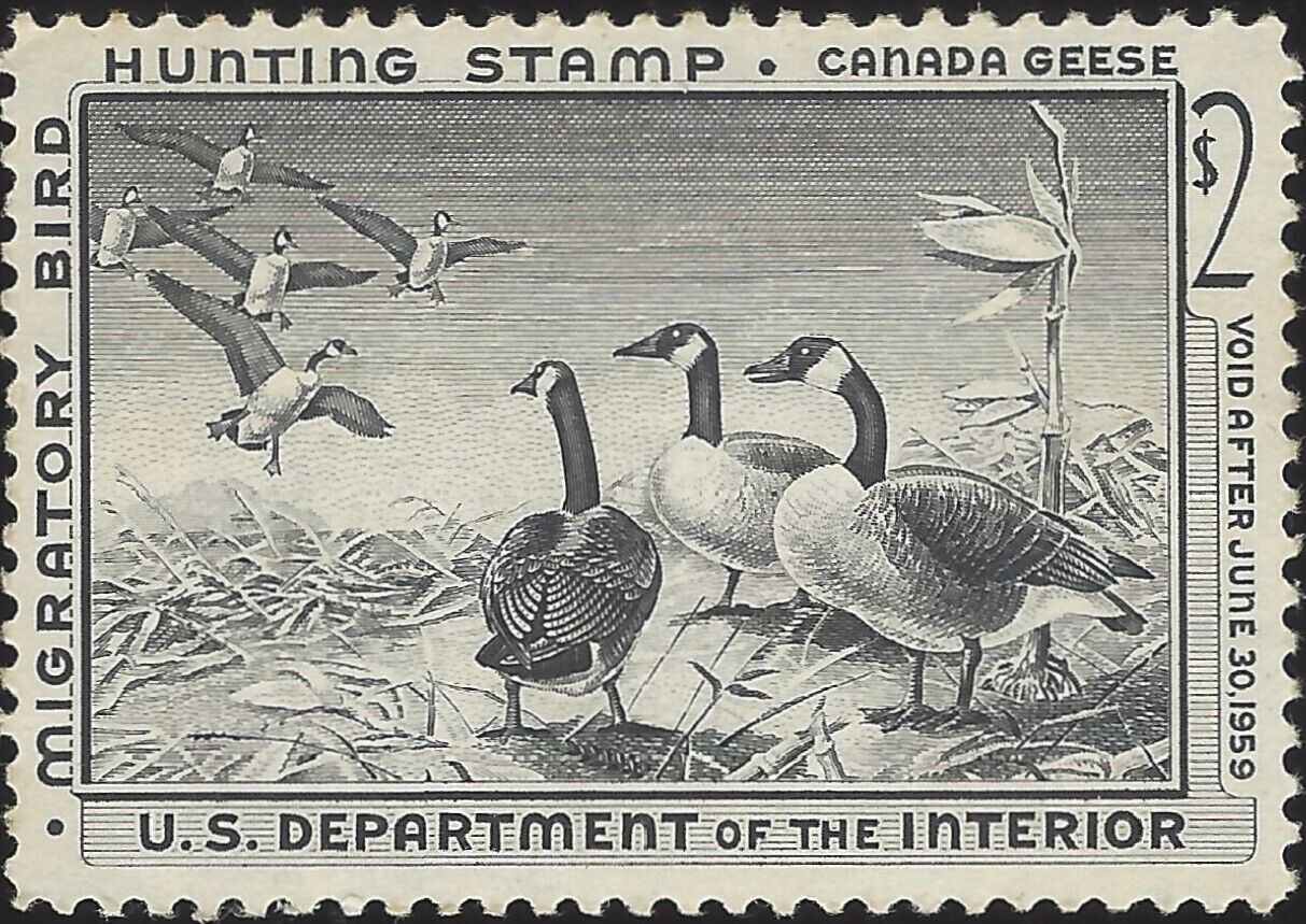 US Scott #RW25 MNH OG XF 1958 US Federal Duck Stamp | United States ...