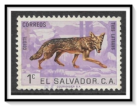 Salvador #738 Coyote Used | Central & South America - El Salvador ...