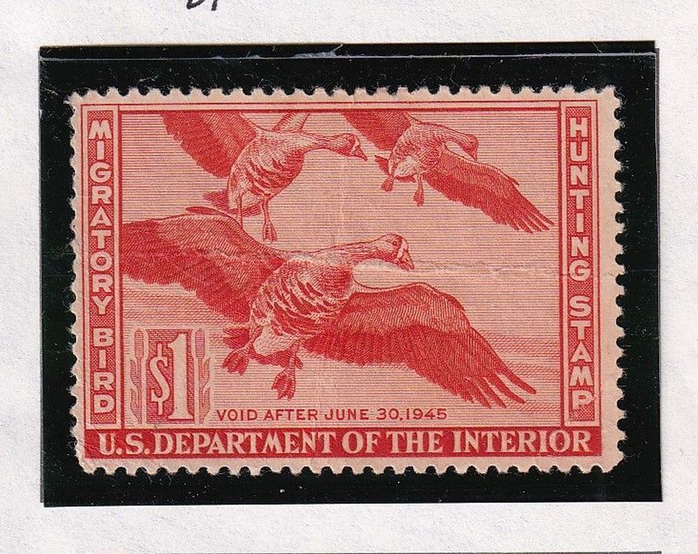 1944 Federal Duck Stamp Sc RW11 $1 used single stamp White-fronted ...