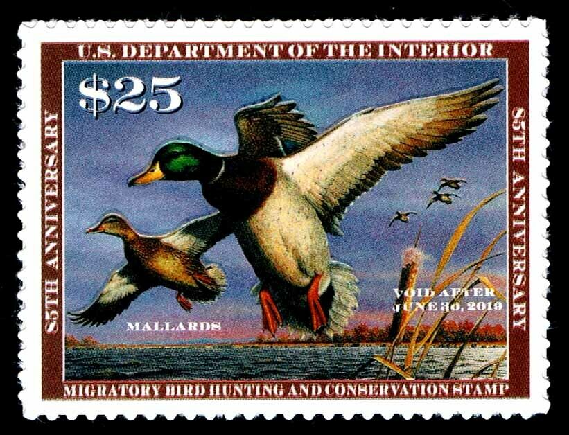 Rw85 DIE CUT Federal Duck Stamp of 2018 - Ognh - VF/XF (Esp Stock ...